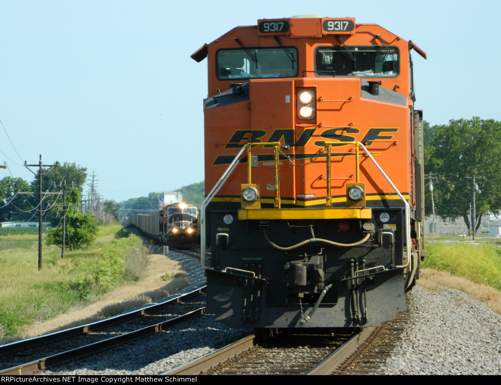 Creeping Up The Siding